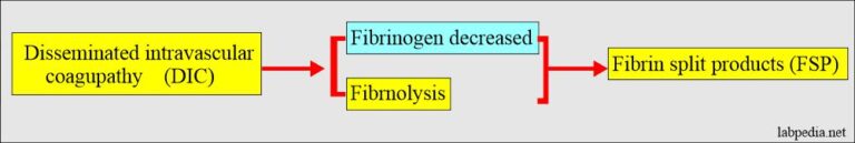 Fibrinogen (Factor 1), Acute Phase Protein - Labpedia.net