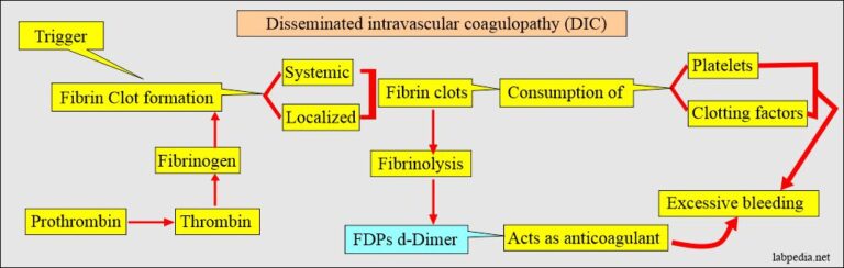 D-dimer test , diagnosis of DIC