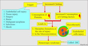 Disseminated Intravascular Coagulopathy (DIC), Diagnosis...