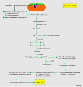 Disseminated Intravascular Coagulopathy (DIC), Diagnosis...