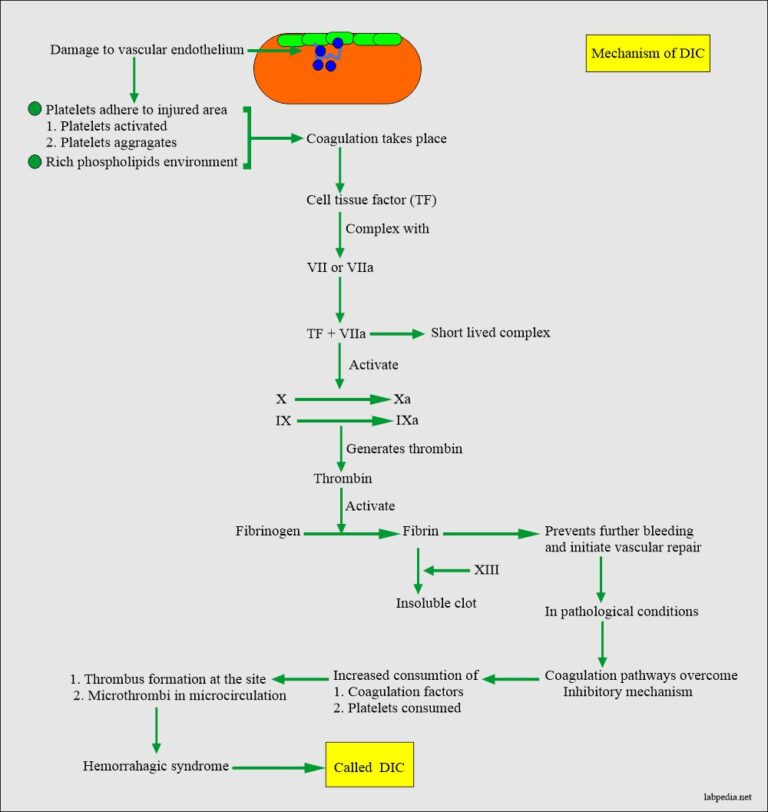 Disseminated Intravascular Coagulopathy (DIC), Diagnosis...
