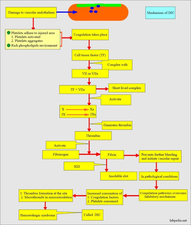 Disseminated Intravascular Coagulopathy (DIC), Diagnosis...