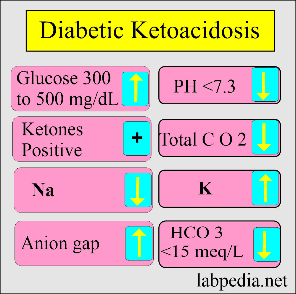 Ketoacidosis Diagnosis Diabetic Ketoacidosis Labpedia