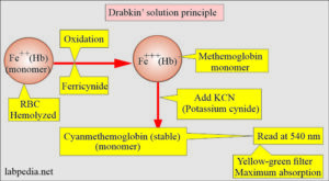 Drabkin's solution for hemoglobin estimation-formula and...