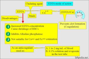 Blood sample Types, Anticoagulants, Preservatives, Adverse effects of ...