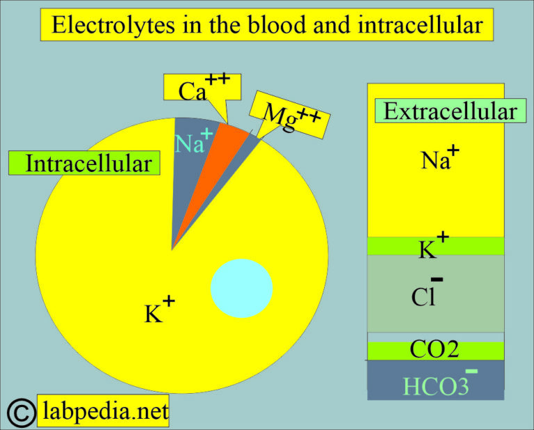 Electrolytes:- Part 3 - Electrolytes Panel - Labpedia.net