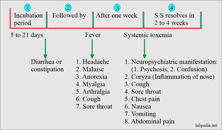 Typhoid Fever, Enteric Fever (Salmonella typhi)