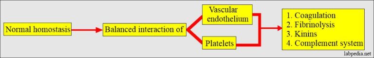 Fibrinogen Degradation Products (FDPs), Fibrin Split Products