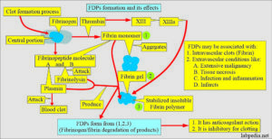Fibrinogen Degradation Products (FDPs), Fibrin Split Products