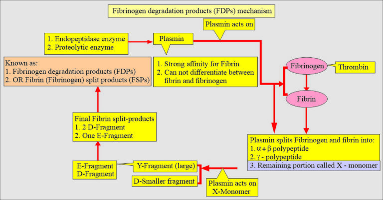 Fibrinogen Degradation Products (FDPs), Fibrin Split Products