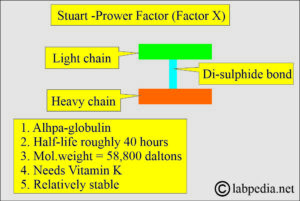 Blood coagulation factors and interpretations