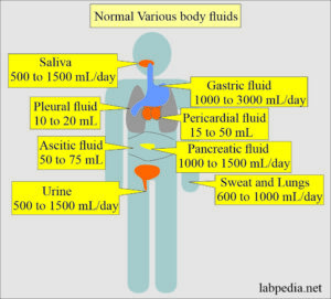 Fluid Analysis, Normal Findings of Various Body Fluids