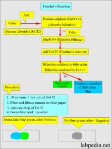 Urine For Bile pigments (Bilirubin, Urobilinogen, and Bile Salts) - Labpedia.net