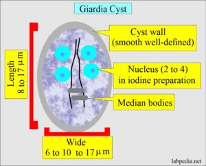 Parasitology - Labpedia.net