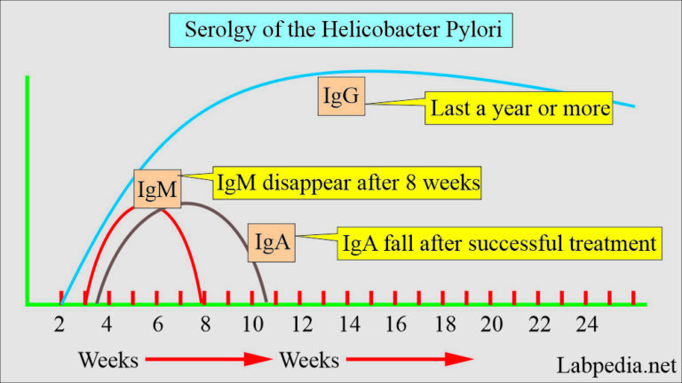 Helicobacter Pylori, H. Pylori, Presentation and Diagnosis