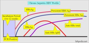 Hepatitis B Virus (HBV), Diagnosis and Treatment