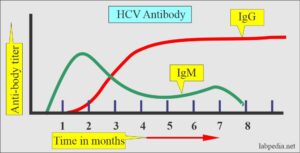 Hepatitis C Virus (HCV), HCV Profile, Diagnosis and Treatment ...
