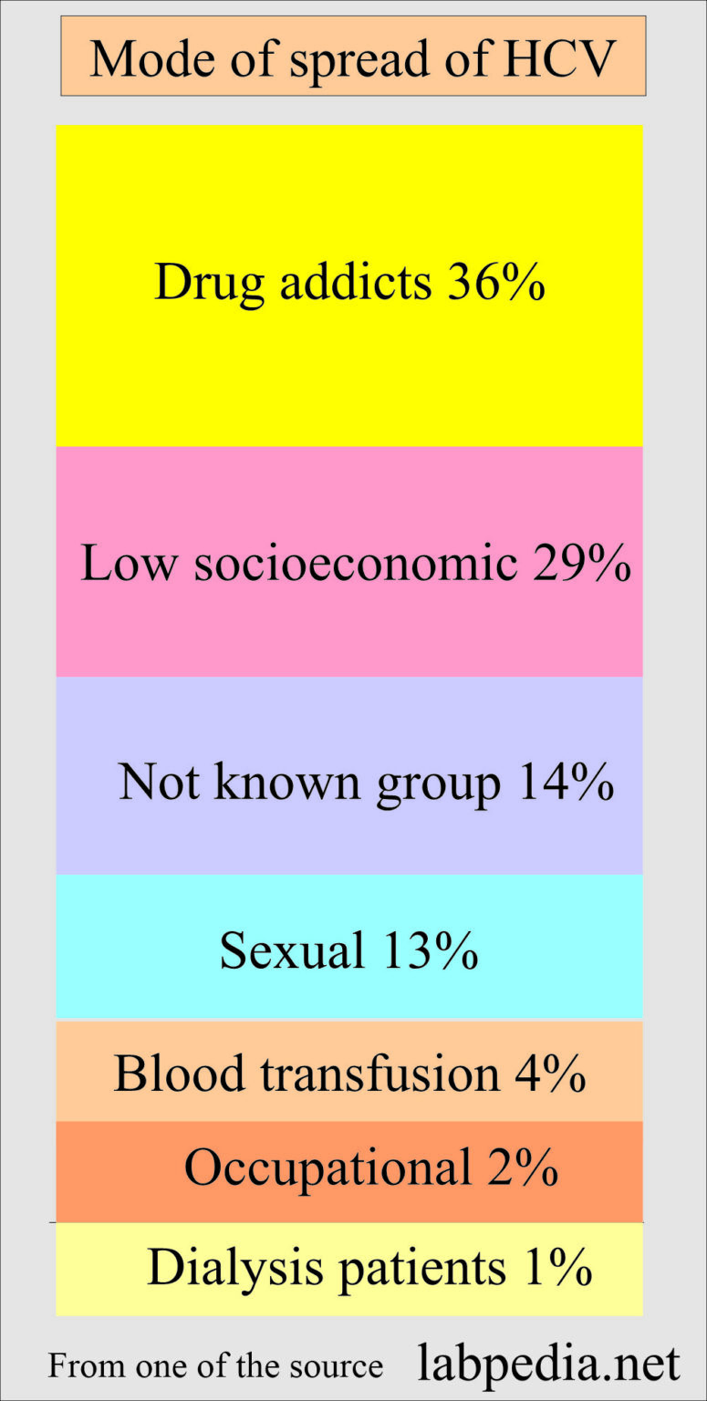 Hepatitis C Virus (HCV), HCV Profile, Diagnosis and Treatment ...