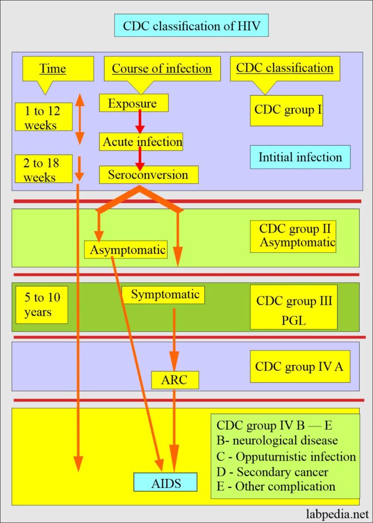 Human Immunodeficiency Virus (HIV), AIDS (Acquired immunodeficiency ...