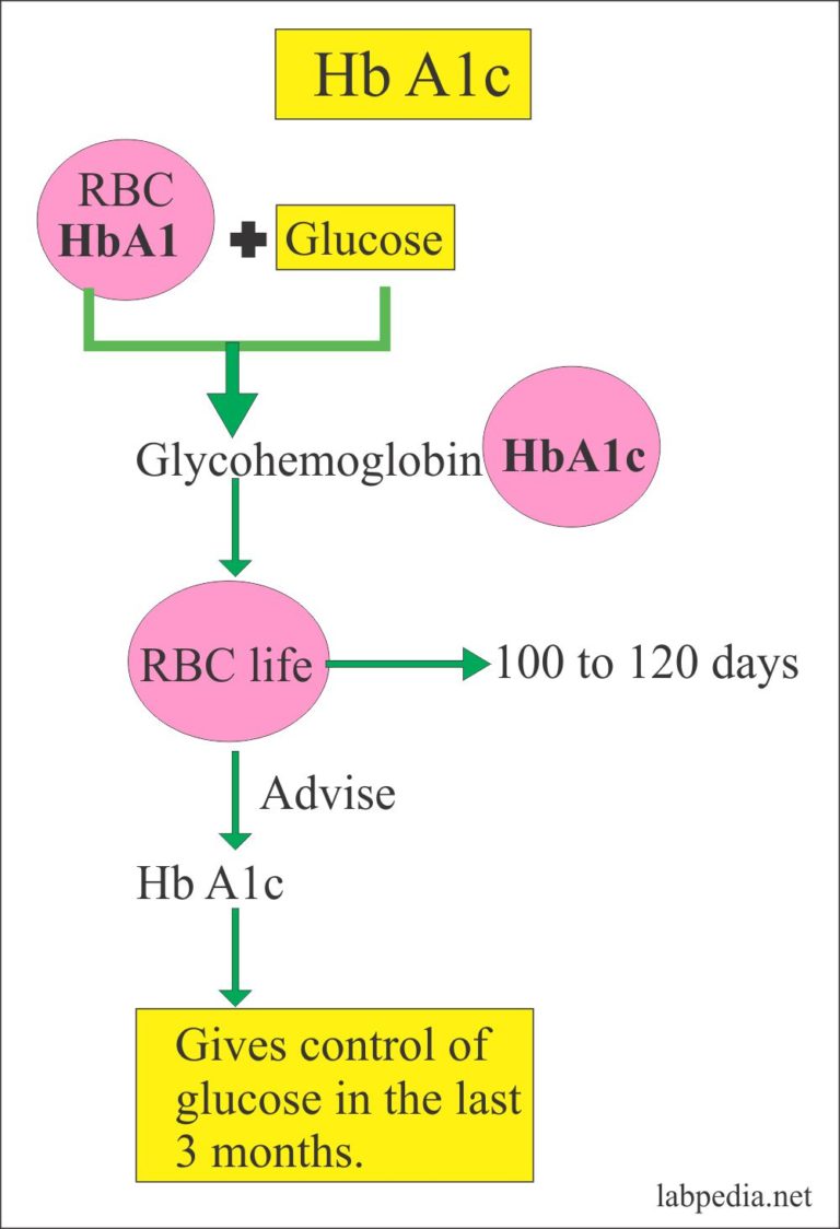 HbA1c (Glycosylated Hemoglobin), Glycohemoglobin (G-Hb), Glycated ... HbA1c (Glycosylated Hemoglobin), Glycohemoglobin (G-Hb), Glycated ...
