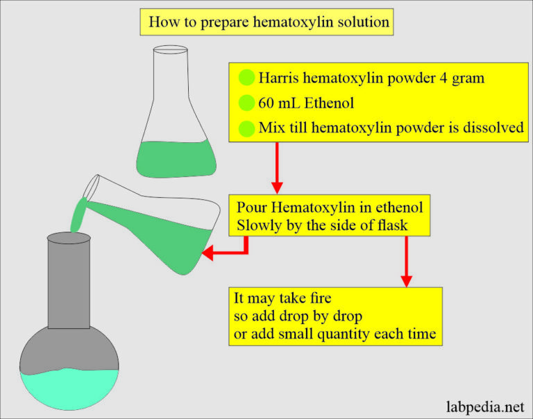Solutions:- Part 5 - Hematoxylin solution Preparation - Labpedia.net