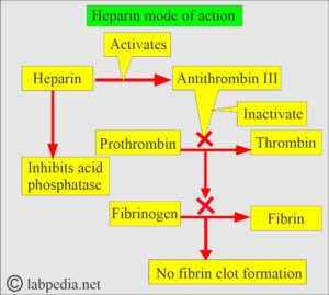 Blood sample Types, Anticoagulants, Preservatives, Adverse effects of ...