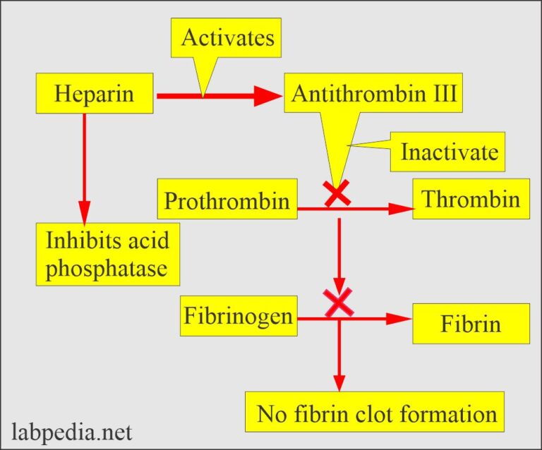 Blood sample Types, Anticoagulants, Preservatives, Adverse effects of ...