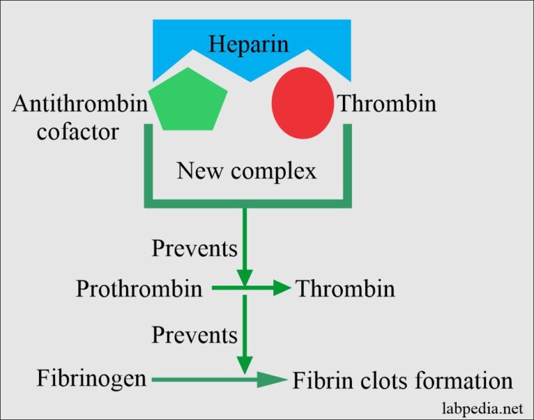 Blood sample Types, Anticoagulants, Preservatives, Adverse effects of ...
