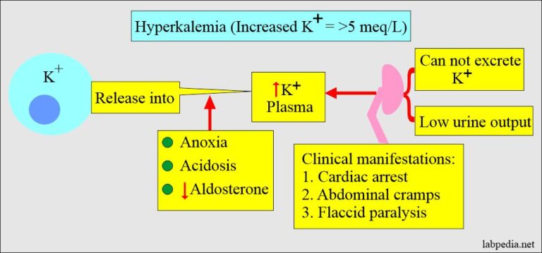 Potassium (K+) in blood and its significance