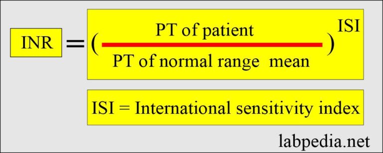Coagulation:- part 5 - INR (International Normalized Ratio), PT and PTT ...
