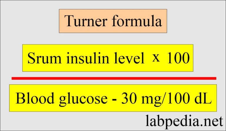 Insulin level (Insulin Assay) - Labpedia.net