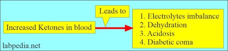 Urine for ketones, and Ketone Bodies (Ketonuria) - Labpedia.net