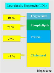 Lipoprotein:- Part 2 - Low-Density Lipoprotein (LDL), LDL- Cholesterol ...