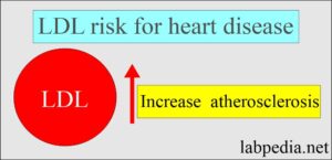 Lipoprotein:- Part 2 - Low-Density Lipoprotein (LDL), LDL- Cholesterol ...