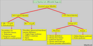 liver:- part 1 - Liver function tests and jaundice classification