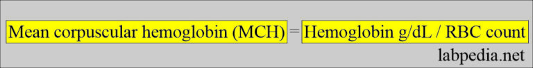Mean Corpuscular Hemoglobin (MCH), Mean Cell Hemoglobin - Labpedia.net