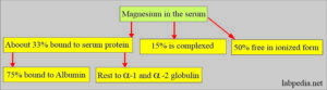 Magnesium level (Mg++) - Labpedia.net