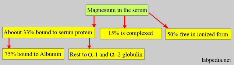 Magnesium level (Mg++) - Labpedia.net