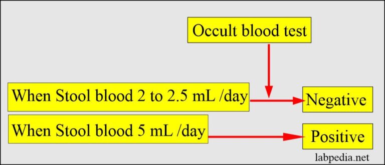 Stool examination:- Part 4 - Stool for Occult Blood, OB - Labpedia.net
