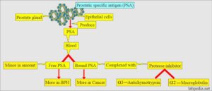 Tumor Markers:- Part 3 - Alk. phosphatase, CK, LDH, Acid phosphatase ...