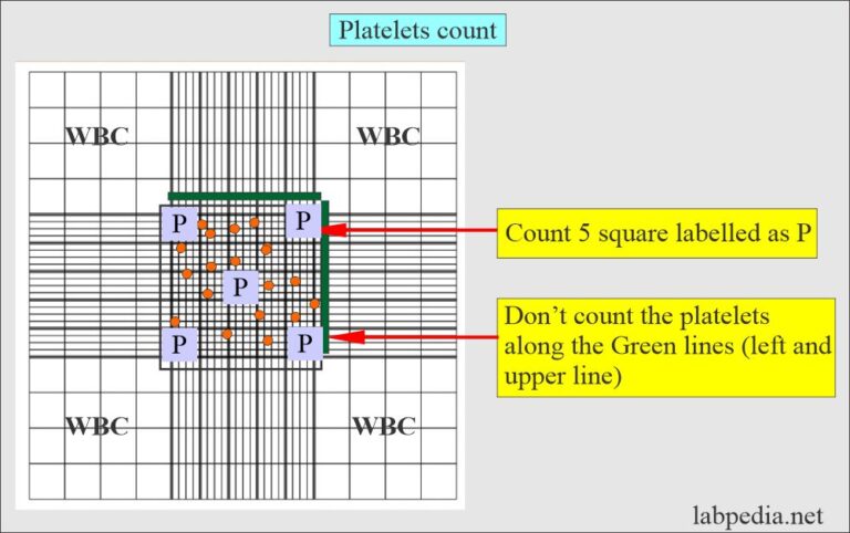 Platelets - Part 2 - Platelets Count (Thrombocyte count) - Labpedia.net