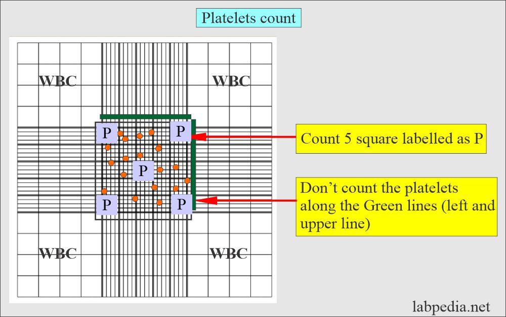 Calculation For Platelet Estimate Calculation For Platelet Estimate
