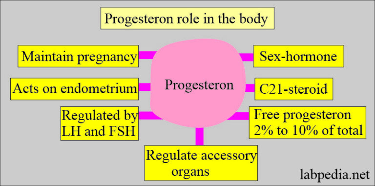 Progesterone Assay - Labpedia.net