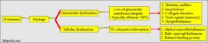 Urine protein 24-hour, Classification of Proteinuria - Labpedia.net