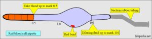 Red blood cell- part-1-Erythropoeisis, RBC counting procedure