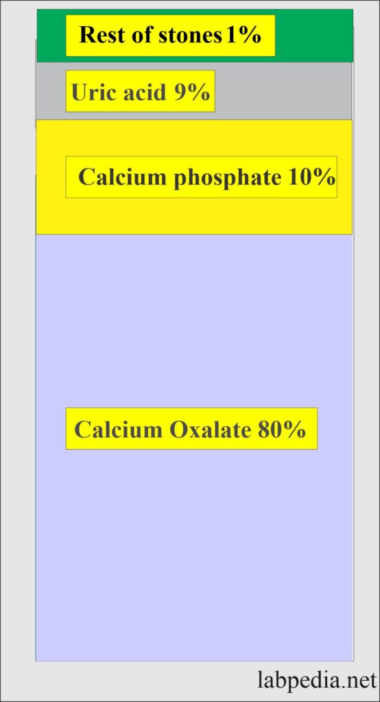 Renal Stone Analysis (Nephrolithiasis), Procedure for stone analysis ...