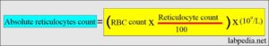 Reticulocyte count (retic count) and interpretations