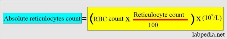 Reticulocyte count (retic count) and interpretations