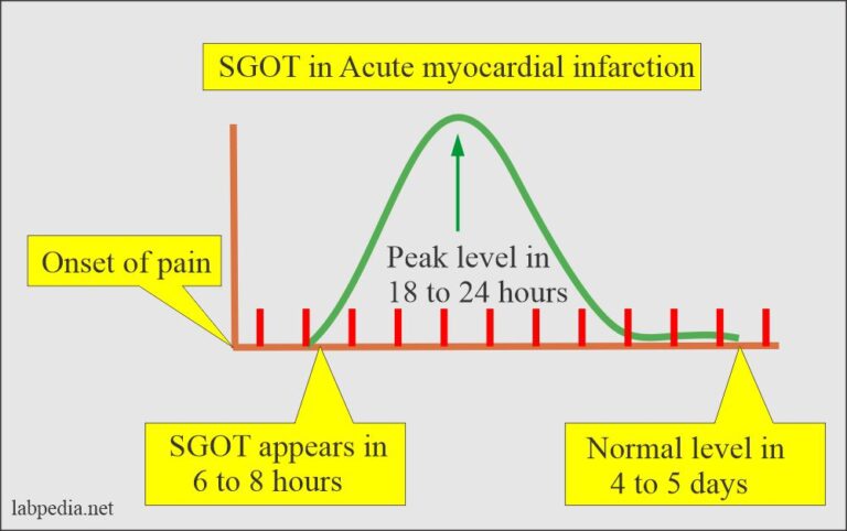 SGOT (Aspartate aminotransferase, AST, Glutamic oxaloacetic ...