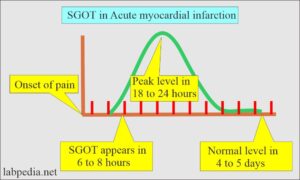 SGOT (Aspartate aminotransferase), AST, Glutamic oxaloacetic ...